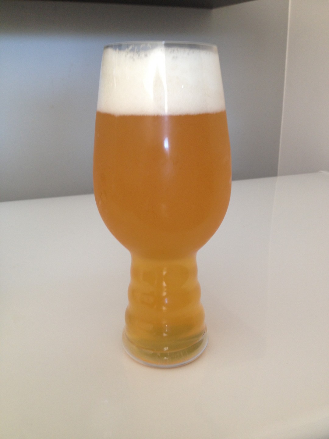 Citra Amarillo Golden Naked Session IPA - Scott Janish