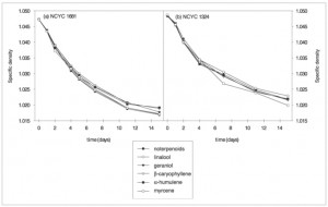Examination of Studies: Hopping Methods and Concepts for Achieving ...