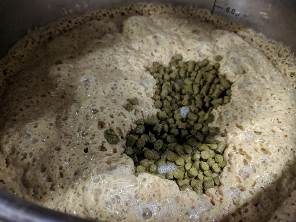 A Case for Short And Cool Dry Hopping - Scott Janish